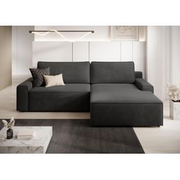 Ecksofa Ds Produkt, B:246cm H:98cm T:168cm, schwarz, 100% Polyester, Wohnzimmer, Sofas, "Challenge, Schlafsofa mit Bettkasten, Couch in L-Form,