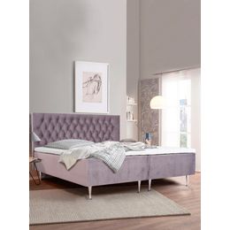 Boxspringbett Home Affaire, B:161cm L:208cm, lila, Samtoptik (100% Polyester), Komplettbetten, "Exclusive", inkl. Topper, 3 Breiten, 3