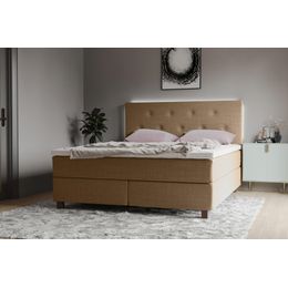Boxspringbett Home Affaire, B:181cm L:208cm, braun, 100% Polyester, Komplettbetten, "Alenika", mit LED - Beleuchtung, mit Taschen-Federkernmatratze