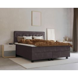 Boxspringbett Home Affaire, B:161cm L:208cm, grau, 100% Polyester, Komplettbetten, "Jeanne", inkl. Topper mit Taschen-Federkernmatratze
