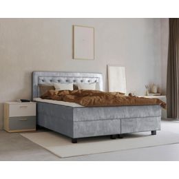 Boxspringbett Home Affaire, B:161cm L:208cm, grau, 100% Polyester, Komplettbetten, "Jeanne", inkl. Topper mit Taschen-Federkernmatratze