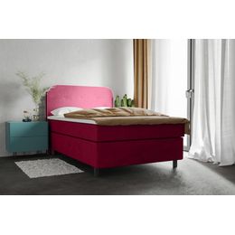 Boxspringbett Home Affaire, B:71cm L:208cm, pink, 100% PES, Komplettbetten, "Marausa", mit Taschen-Federkernmatratze, mit dekorativer Kedernaht