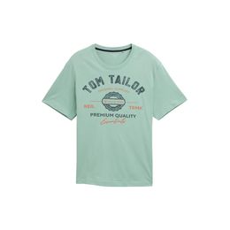 Tom Tailor Men + Shirt male Green size 4XL