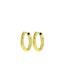 Lucardi Earrings 'Klassisch' female Gold size 10