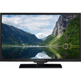 Alphatronics CTS SL-22 DSBAI+K LED-TV inkl. Steuergerät für Kathrein CAP Satanlagen - Fernseher