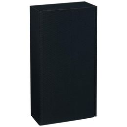 25 x Pr&auml;sentkarton f&uuml;r 2 Flaschen 360 x 192 x 95 mm (schwarz)