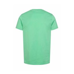 U.S. Polo Assn. T-shirt ' Arjun ' Herren Gr&ouml;&szlig;e L mint