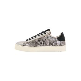 AllSaints Sneaker 'SHANA MET' Damen Gr&ouml;&szlig;e 39 grau / schwarz / silber