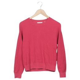 Christian Berg Pullover Damen Gr&ouml;&szlig;e S Second Hand pink