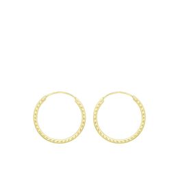 Lucardi Earrings 'Klassisch' female Gold size 18