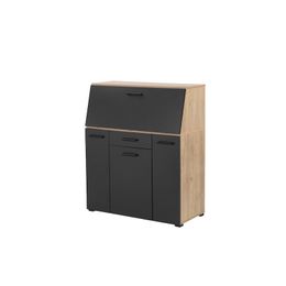 OTTO HOME Sekretär »Moid, Home-Office-Schreibtisch, « viele Stauraummöglichkeiten, kompaktes & modernes Design, B. 88, 5 cm eiche/schwarz graphit