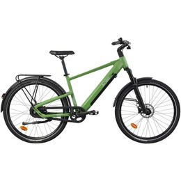 Llobe »CityVenture E-Bike 27, 5" Vermont RM, grün« 2 Gang Nabenschaltung Heckmotor 250 W Pedelec, Elektrofahrrad für Damen und Herren grün+schwarz