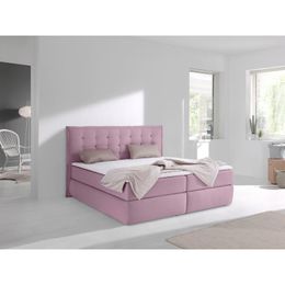 Home Affaire Boxspringbett &raquo;Sagres&laquo; Kopfteil mit 2farbiger Flatterbiese und zweifarbigen Kn&ouml;pfen rosa Feinstruktur(100% Polyester);Bezug der 