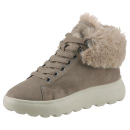 Geox Winterboots »D SPHERICA« High Top Sneaker, Schnürboots, Winterboots mit Plateausohle taupe 40 40 Winterboots mit Schnürung und sportiver...