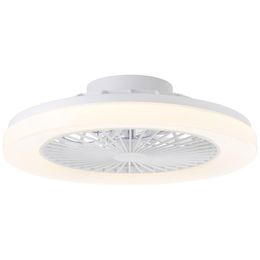 Brilliant LED Deckenleuchte &raquo;Siano&laquo; LED-Modul 1 Stk. warmwei&szlig; - kaltwei&szlig; LED-Ventilator, dimmbar, CCT, 48 cm, 4400 lm