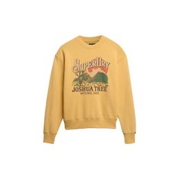 Superdry & Co Sweatshirt female Yellow size 36