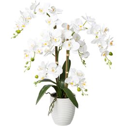 Kunstorchidee Creativ green "Deko-Orchidee Phalaenopsis im Keramiktopf", wei&szlig;, B:28cm H:67cm T:28cm, Obermaterial: 95% Polyethylen, 5% Polyester, Kunstpflanzen