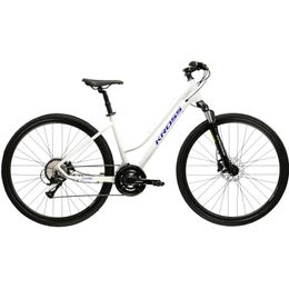 Crossrad KROSS "Evado 4.0" Gr. 43, grau (grau, schwarz), Fahrräder, 43cm, 28 Zoll (71,12cm) hinten: 28 Zoll (71,12cm)
