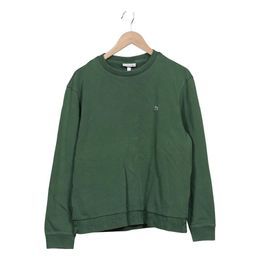 Lacoste Sweater Herren Gr&ouml;&szlig;e XL Second Hand gr&uuml;n
