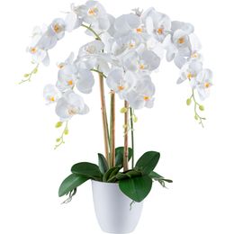 Kunstorchidee Creativ green, H:62cm, wei&szlig;, Kunststoff, Kunstpflanzen, "Orchidee Phalaenopsis", mit real-touch-Bl&uuml;ten