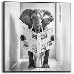 Poster Reinders, B:50cm H:50cm T:1,6cm, schwarz-wei&szlig;, Bilder, "Elephant Toilet", Toilette - WC - Zeitung - Schwarz-Wei&szlig; - MDF - Tiere - 50x50 cm