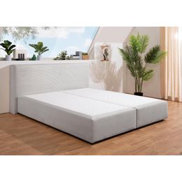 Boxspringbett Home Affaire, B:207cm L:225cm, grau, Komplettbetten, "&Aring;by", In Cord Bezug, wahlweise mit und ohne Matrazte erh&auml;ltlich
