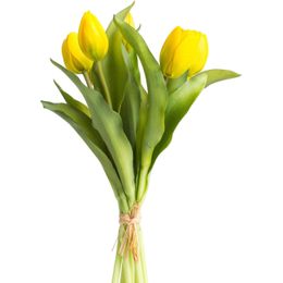 Kunstblume BOTANIC-HAUS, B:16cm H:32cm T:16cm, gelb, Kunststoff, Kunstpflanzen, "Willa", Tulpenb&uuml;ndel im 7er-Set