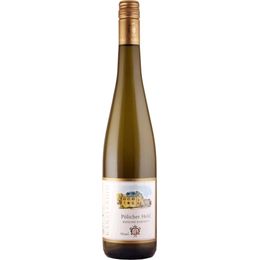 Weingut Kanzlerhof Riesling 2023 Lieblich - P&ouml;licher Held Mosel &ndash; Wei&szlig;wein Kabinett