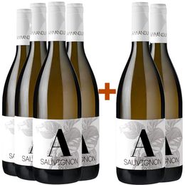 Amandum 4+2 Paket Sauvignon Friuli Isonzo Blanc 2018 Trocken - Friaul &ndash; Probierpaket DOC