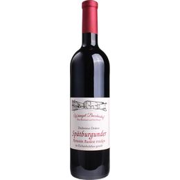 Weingut Bacchushof Sp&auml;tburgunder 2021 Halbtrocken - Dexheimer Doktor Rheinhessen &ndash; Rotwein Qualit&auml;tswein