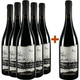 Corte Badin 5+1 Paket Beso Veneto Cuv&eacute;e 2019 Trocken - Venetien &ndash; Probierpaket IGP