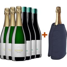 Ilunum Pack descuento Espumoso y Tinto Castilla VT + Trocken - Kastilien-La Mancha &ndash; Probierpaket IGP