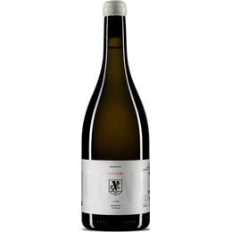 Viconari Bianco Marche Pecorino 2024 Trocken - Montefiore dell&rsquo;Aso Marken &ndash; Wei&szlig;wein IGP