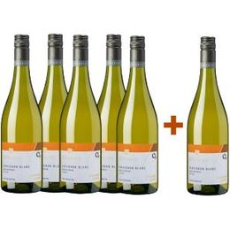 Achkarrer Winzer am Schlossberg 5+1 QbA Sauvignon Blanc 2023 Trocken - Baden &ndash; Probierpaket Qualit&auml;tswein