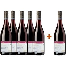 Achkarrer Winzer am Schlossberg 5+1 QbA Sp&auml;tburgunder 2022 Trocken - Baden &ndash; Probierpaket Qualit&auml;tswein