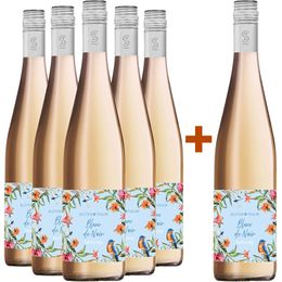 Weing&auml;rtner Stromberg-Zaberg&auml;u Weing&auml;rtner Stromberg-Zaberg&auml;u 5+1 Paket Bl&uuml;tentraum Blanc de Noir Trollinger 2024 Feinherb - W&uuml;rttemberg &ndash; Probierpaket Qualit&auml;tswein