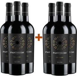 Ettore Galasso 3+3 Paket Pantheon Colline Pescaresi Cuv&eacute;e 2021 Trocken - Abruzzen &ndash; Probierpaket IGP