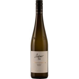 Weingut Tom Dockner Ried 1&Ouml;TW Erste Lage Traisental Riesling 2024 Trocken - Pletzengraben DAC &ndash; Wei&szlig;wein Qualit&auml;tswein