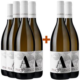 Amandum 4+2 Paket Friuli Isonzo Pinot Bianco 2018 Trocken - Friaul &ndash; Probierpaket DOC