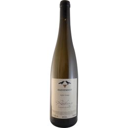 Weingut Raevenhof Riesling 2024 Feinherb - Ayler Kupp Mosel &ndash; Wei&szlig;wein Kabinett