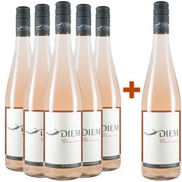 Weingut Diem Gerald und Andrea 5+1 Paket Ros&eacute; BIO Zweigelt 2024 Trocken - Nieder&ouml;sterreich &ndash; Probierpaket &Ouml;sterreichischer Wein