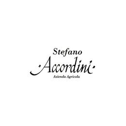 Stefano Accordini Ripasso Acinatico Cuv&eacute;e Valpolicella Classico 2023 Trocken - Venetien &ndash; Rotwein DOC