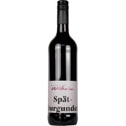 Weingut Wilhelm Sp&auml;tburgunder 2023 Trocken - Altenberg W&uuml;rttemberg &ndash; Rotwein Qualit&auml;tswein