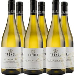 Maison Trenel Wei&szlig;wein-Paket Chardonnay Trocken - Burgund &ndash; Probierpaket AOP