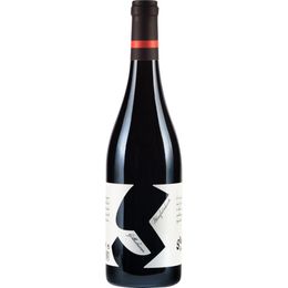 weingut glatzer Blaufr&auml;nkisch G&ouml;ttlesbrunn 2023 Trocken - Carnuntum DAC &ndash; Rotwein Qualit&auml;tswein