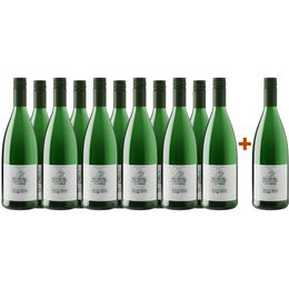 Weinbau Weckbecker 11+1 Lehmener Schoppenwein Riesling 2023 Halbtrocken - Mosel &ndash; Probierpaket Kabinett