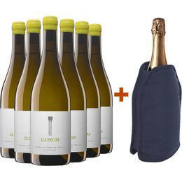 Ilunum Aktionspaket Blanco Castilla VT Cuv&eacute;e 2024 Trocken - Kastilien-La Mancha &ndash; Probierpaket IGP