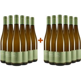 Weingut Franz 6+6 Paket - 2022 Nieder-Hilbersheimer vom Rotenstein Riesling 2023 Trocken Rheinhessen &ndash; Probierpaket Qualit&auml;tswein