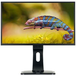 Bildschirm 23" LCD FHD iiyama Prolite XB2481HS-B1