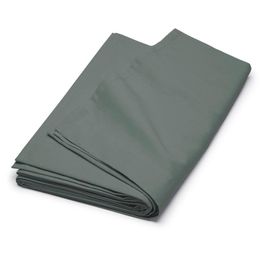 Betttuch Cinderella "Cinderella Flanell-Laken", gr&uuml;n, B:240cm L:260cm, Satin, Obermaterial: 100% Baumwolle, Bettlaken, f&uuml;r Matratzen bis 25 cm H&ouml;he